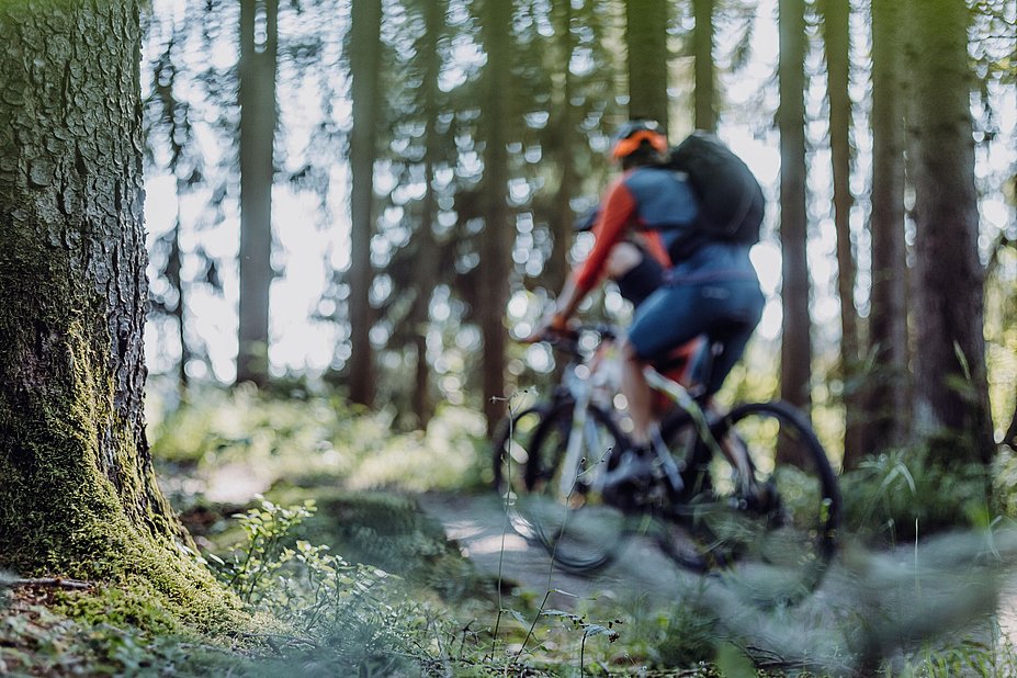 Allgäu: Urlaub, Freizeit, Leben und Arbeiten - Allgäu