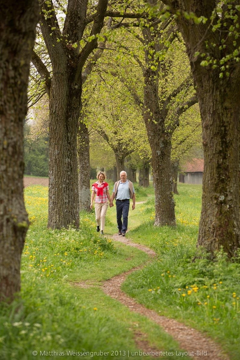 Wanderung Schlingen – Frankenhofen – Ostpark - Allgäu