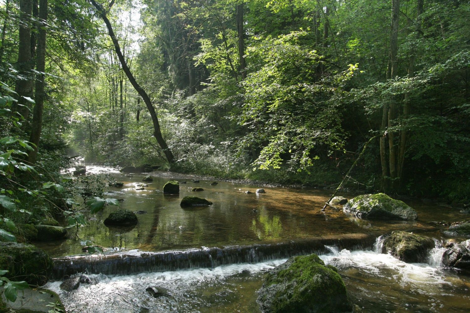 Kempten Wandertour: Mariaberg - Bergpanorama-Wanderung - Allgäu